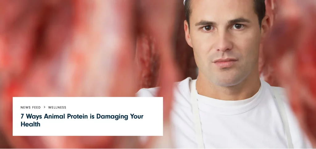 7 Ways Animal Protein Is Damaging Your Health (Plant-Based Alternative)